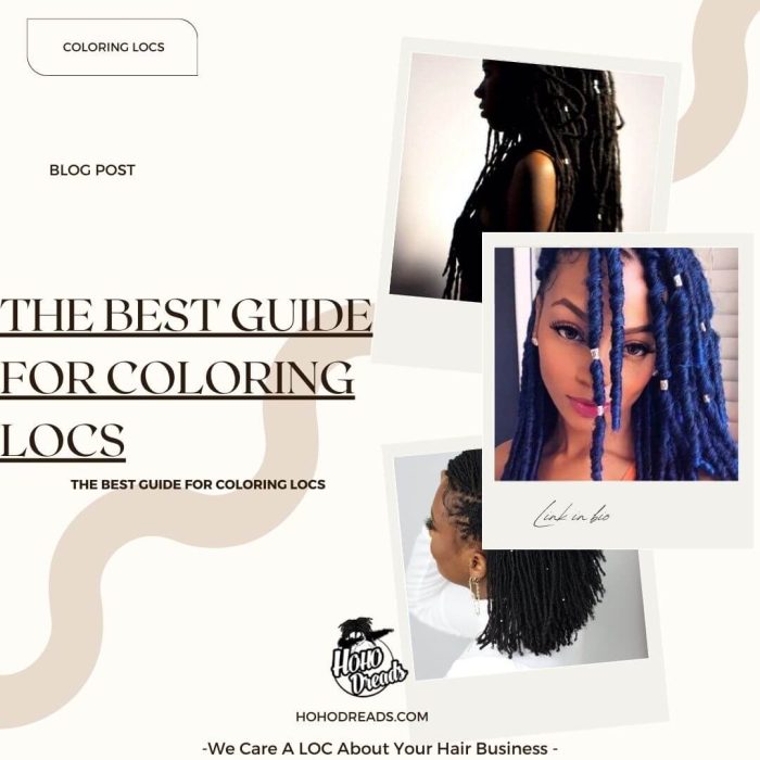 The Best Guide For Coloring Locs | Hohodreads