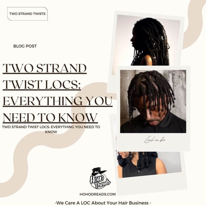 Two Strand Twist Locs: Everything You Need To Know | Hohodreads