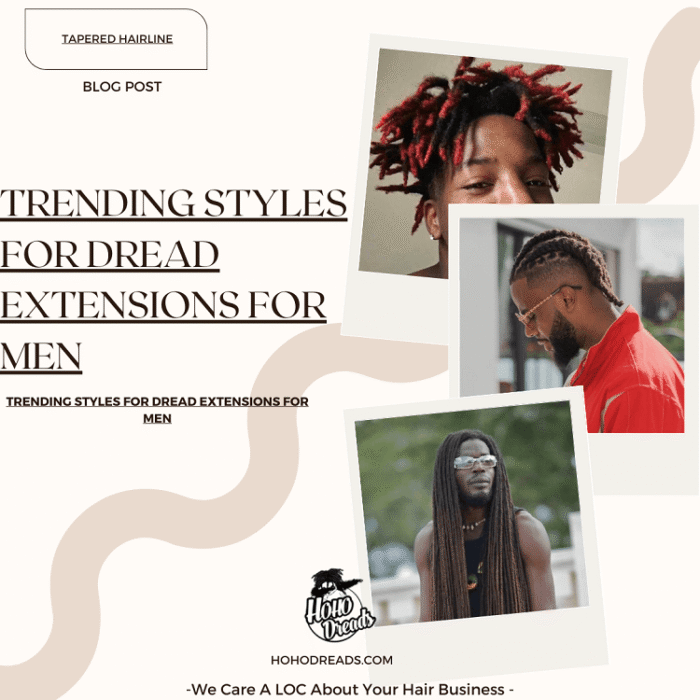 Trending Styles For Dread Extensions For Men | Hohodreads